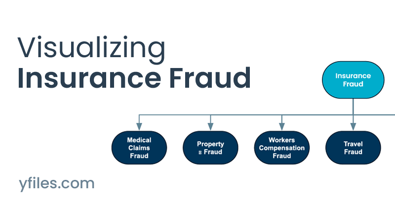 Visualizing Insurance Fraud